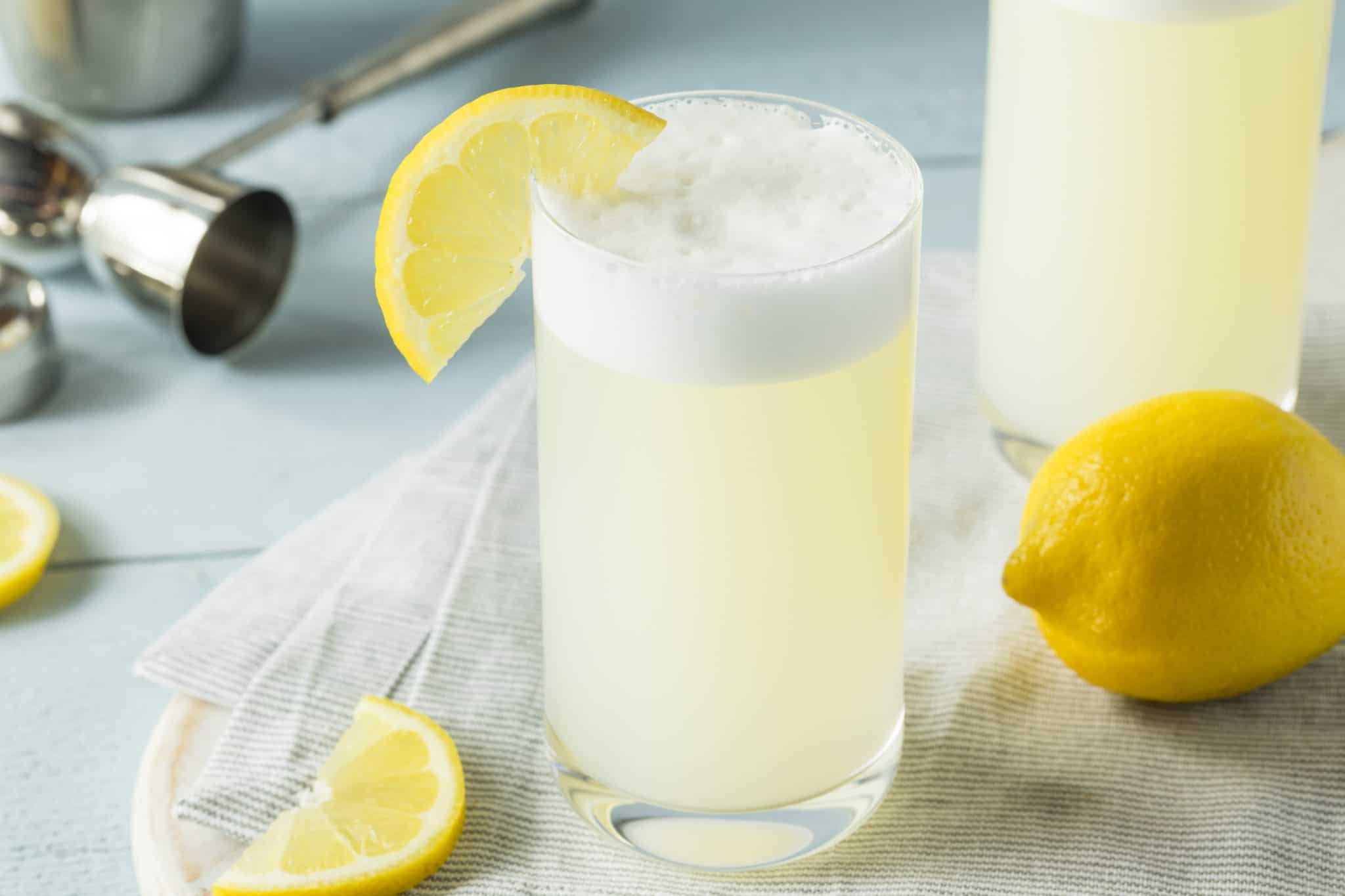 Citrus Fizz Recipe | Silk Canada